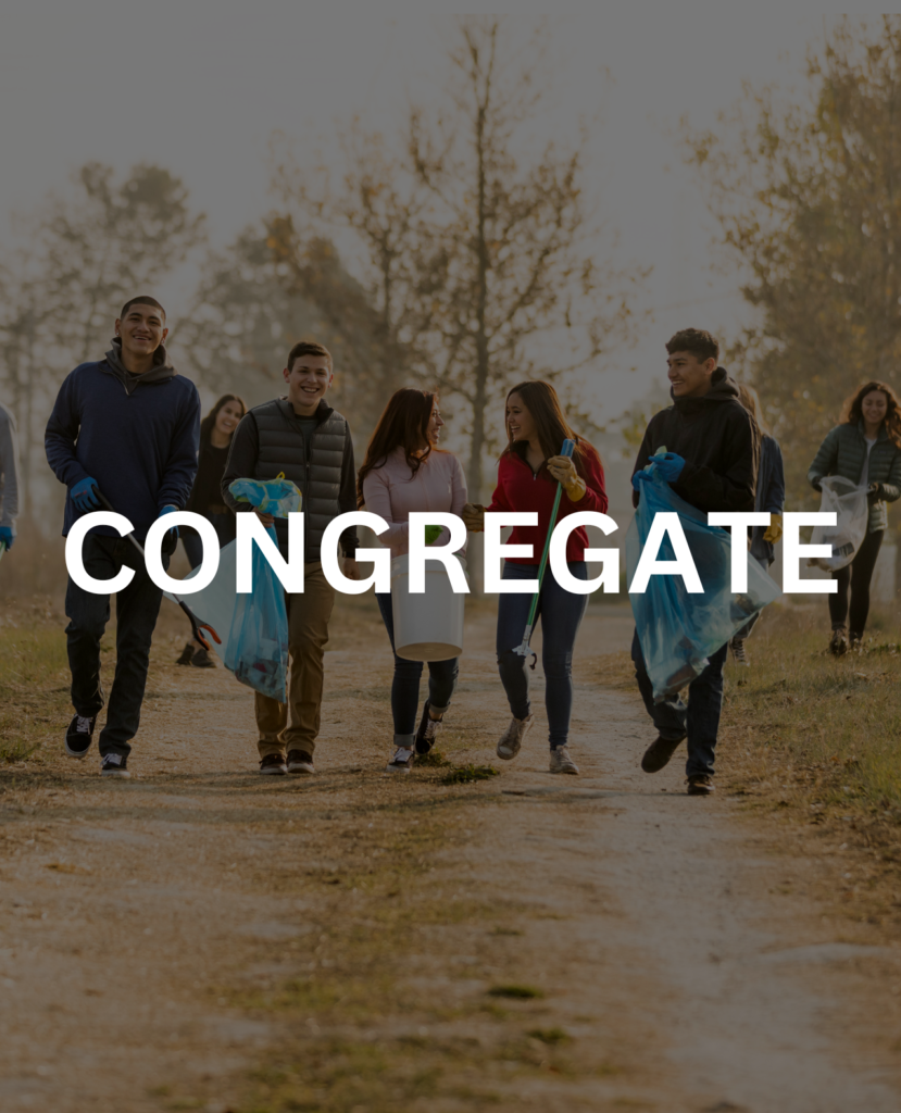 What We Do – LDS Earth Stewardship